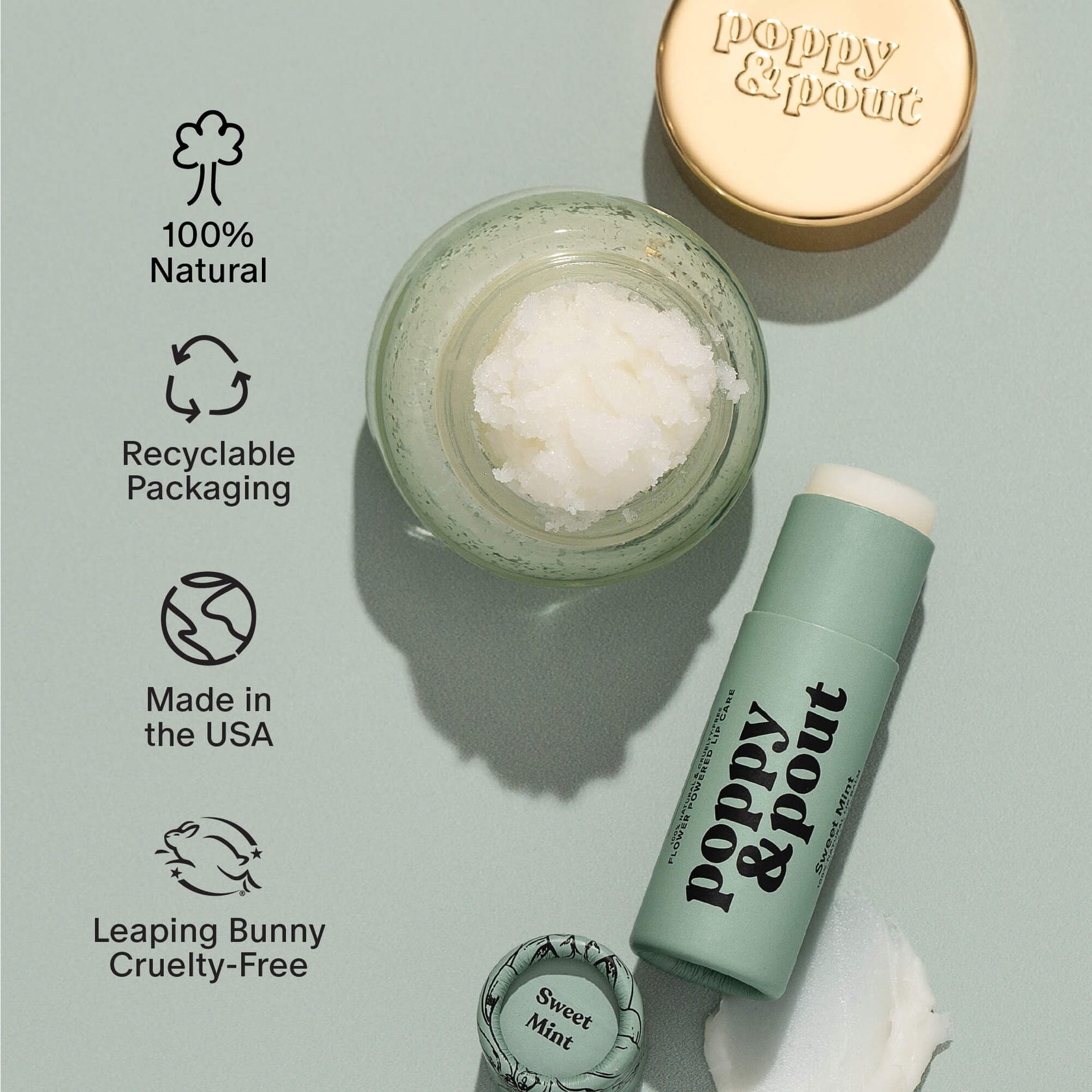 Lip Care Duo, Sweet Mint – Poppy & Pout Wholesale